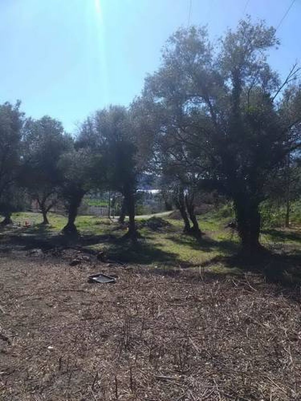 Herceg Novi, građevinski placevi na 1.7 km od centra Prodajem