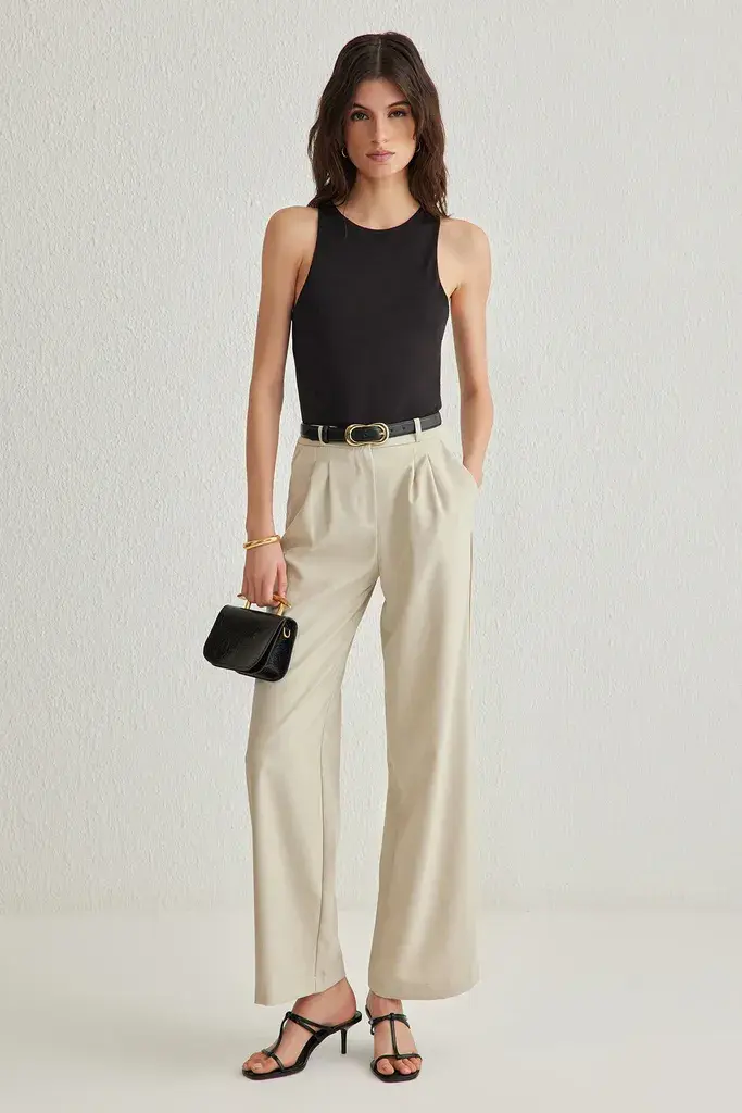 Trendyol Milla ženske pantalone TWOAW22PL0475, siva-siva
