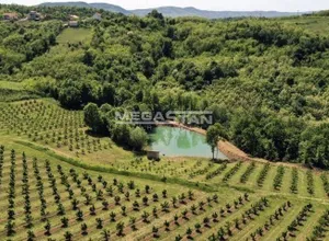 Prodaja Građevinsko zemljište - Aranđelovac