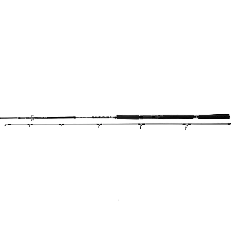 DAIWA BG OFFSHORE PILK 2.40m 40-125g (11905-245)