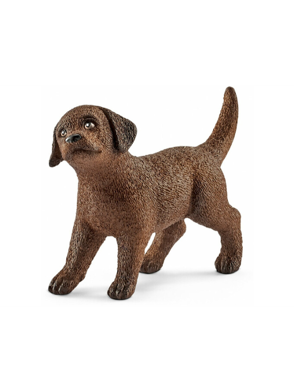 Labrador Stene