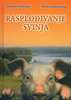 RASPLODJIVANJE SVINJA