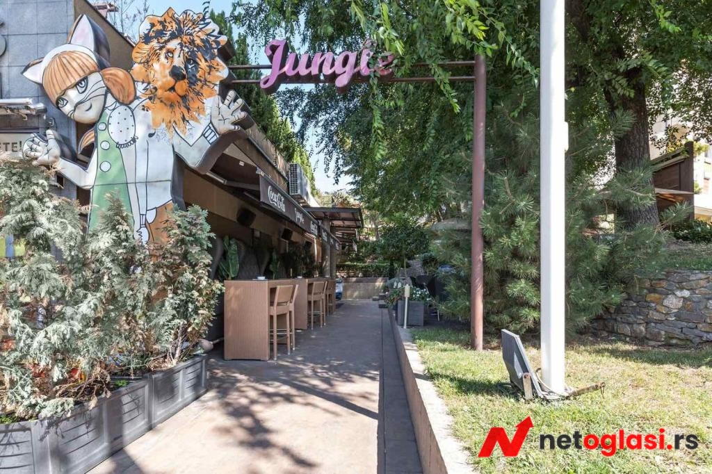 Caffe i igraonici Jungle u Zarkovu potrebni konobari/sankeri, animatori i devojka za rad na pultu