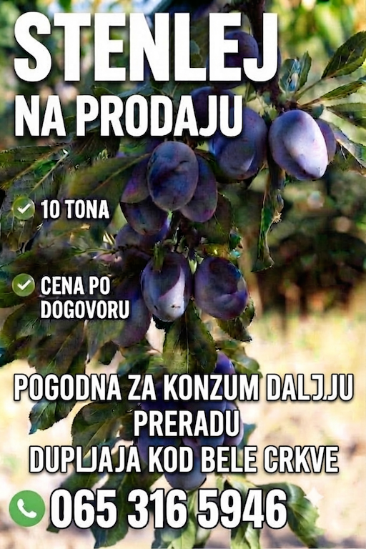 U ponudi sljiva stenlej