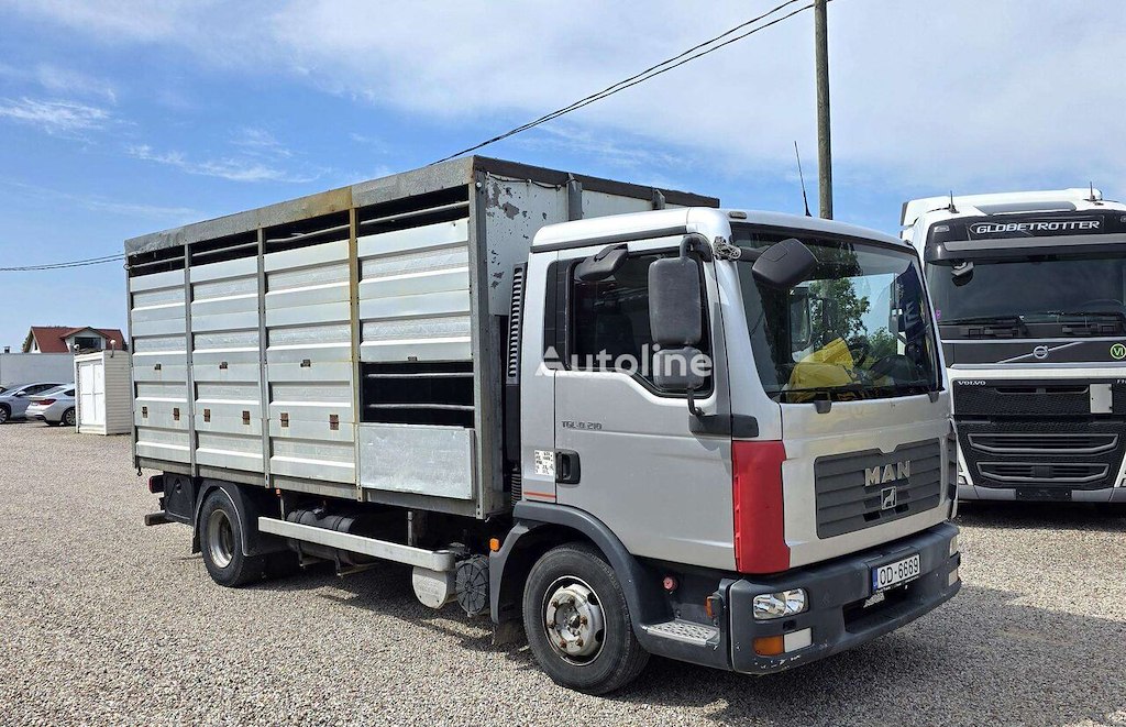 MAN TGL 10.210 kamion za prevoz stoke