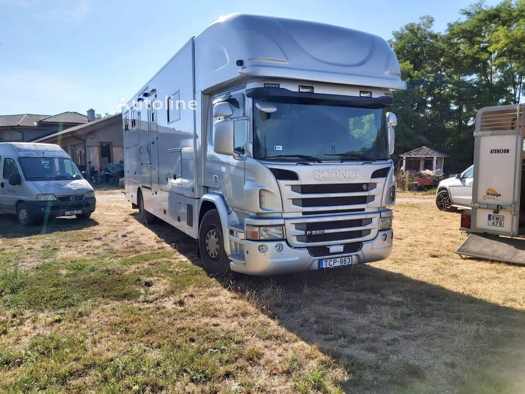 Scania P280 kamion za prevoz konja