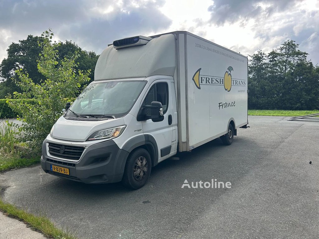 Fiat Ducato 18 Al-Ko Chassis kamion hladnjača < 3.5t