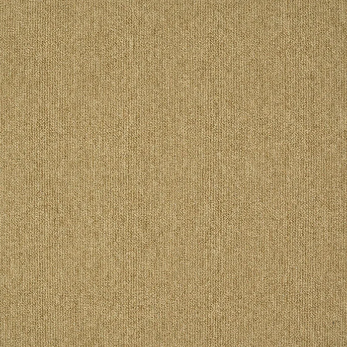 Creative Spark 627