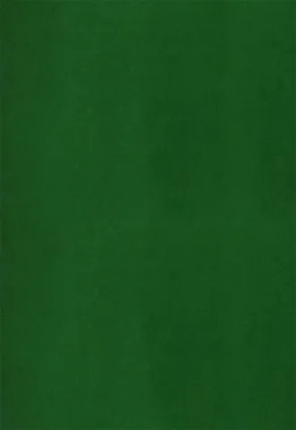 Forest 6613 Green