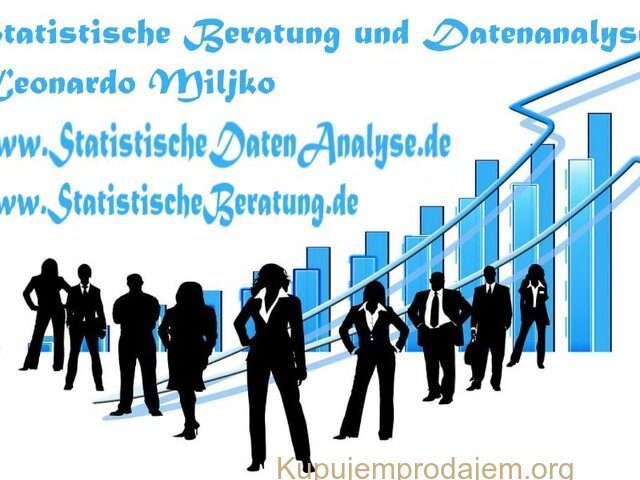 SPSS, AMOS, nVivo, Excel, statistika  - Profesionalna Statistička Agencija - Vaš Pouzdan Partner za