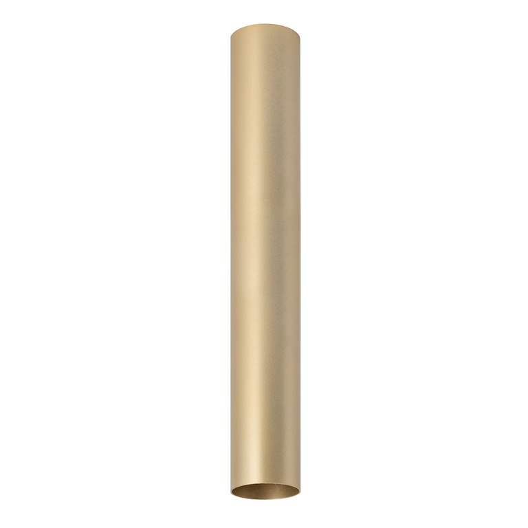CAMELEON EYE BRUSHED GOLD L