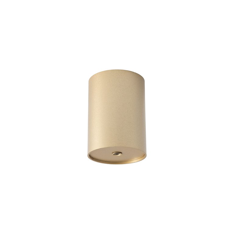 CAMELEON CANOPY E BRUSHED GOLD