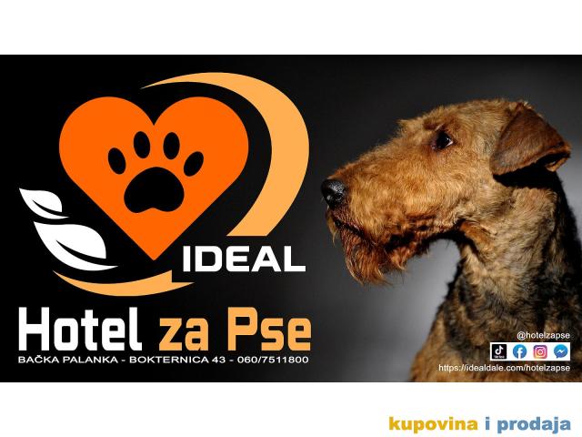 Hotel za pse Ideal