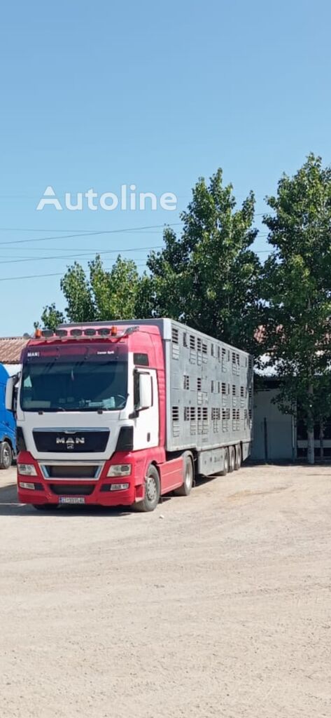 Michieletto AM 12S poluprikolica za prevoz stoke