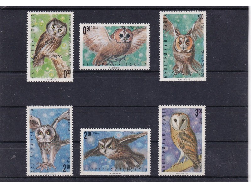 Fauna-Ptice