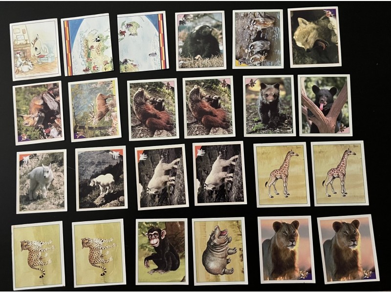 Baby Animals 1997. god - Merlin Collections