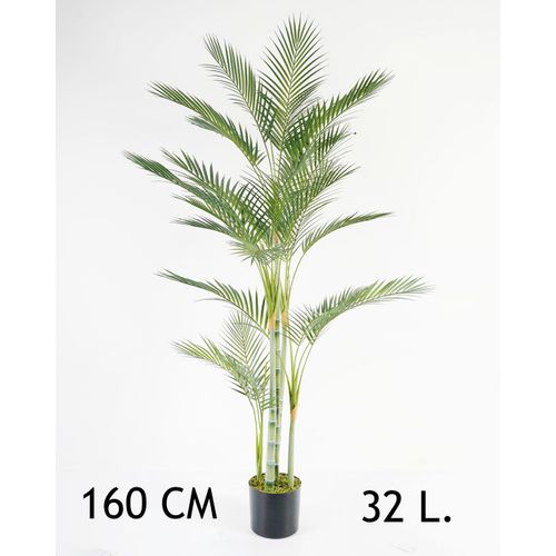 Lilium Palma areka 1X4 160cm,32 lista, 567274