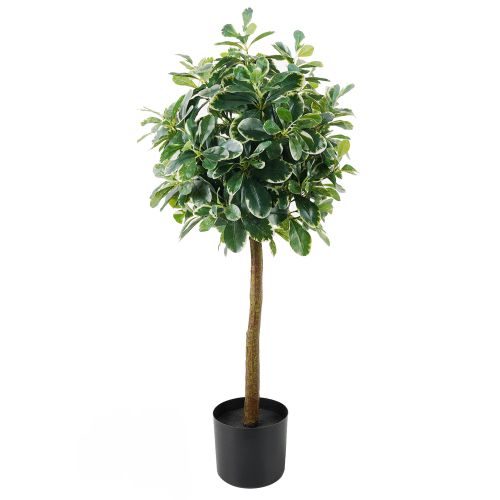 Lilium dekorativno stablo lagurus/šeflera 90cm 567285