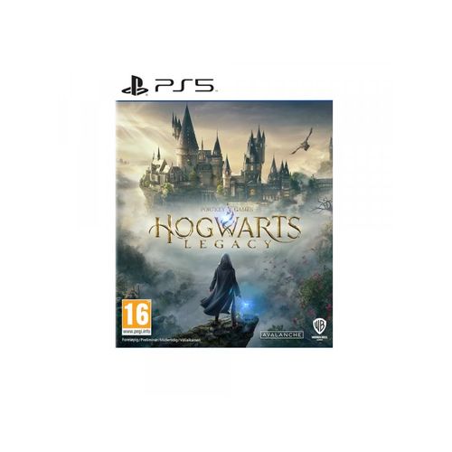 Warner Bros Hogwarts Legacy za PS5