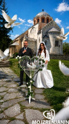 Beli golubovi za svecane prilike