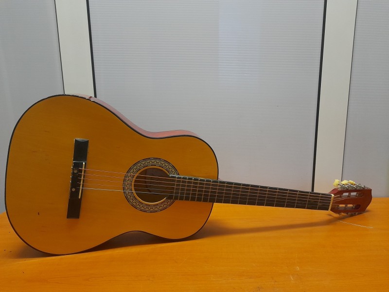 Akustična gitara MS Music Fidelity