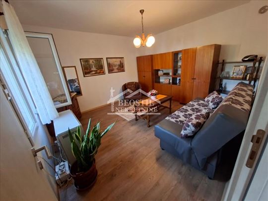 Zemun - 1.0, dvorište, 34m2 ID#25621