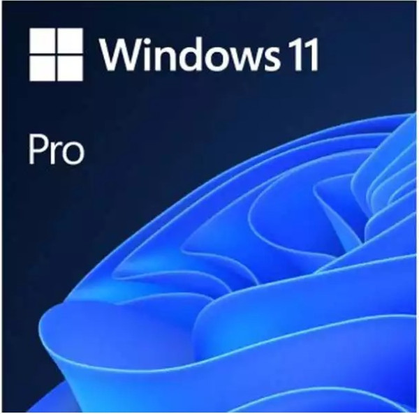 Microsoft Windows 11 Pro * 64bit Eng Intl OEM DSP DVD (FQC-10528)