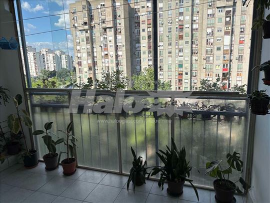 Novi Beograd dvosoban stan za izdavanje