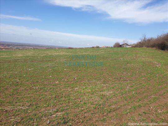 Plac 1ha 75 ari Velika Moštanica
