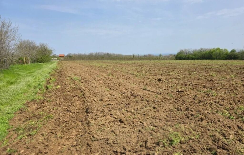 Poljoprivredno zemljište – Smederevo (lokacija ucratana na mapi) -
