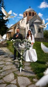 BELI GOLUBOVI ZA SVECANE PRILIKE