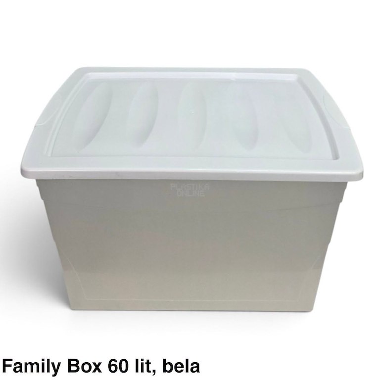 Kutija za odlaganje 60L Family box-BELA