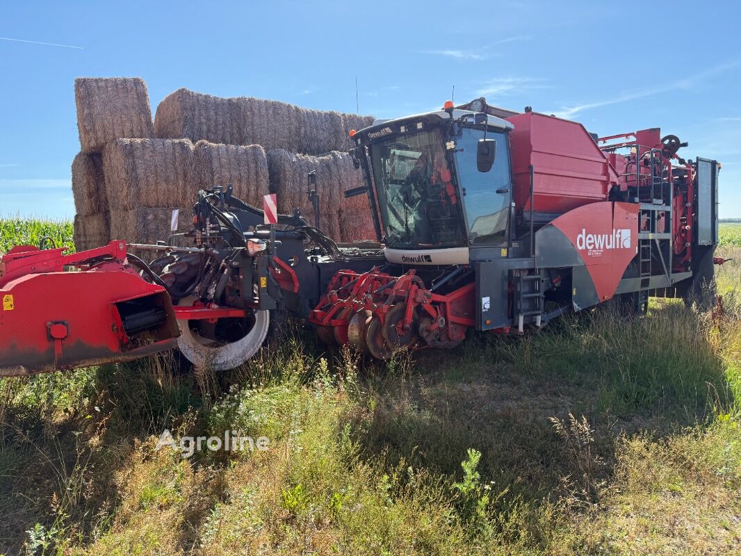 Dewulf Dewulf RQ3060 kombajn za krompir