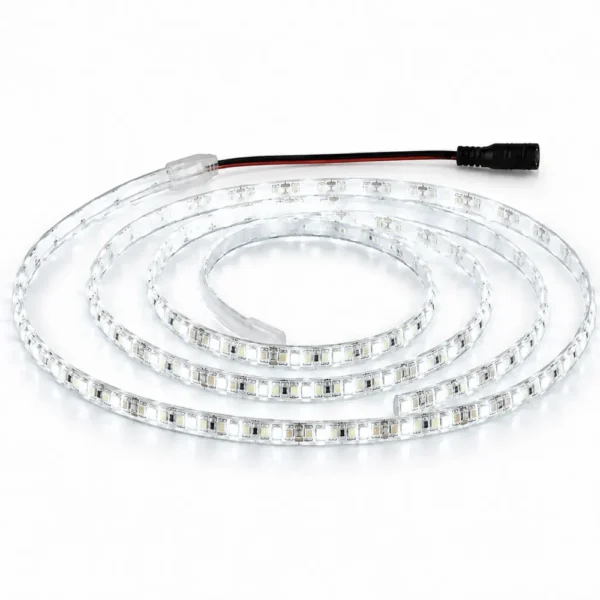 V-Tac VT-5050 | LED traka 11W 12V IP65 | 6500K
