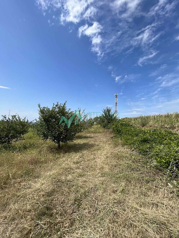 Plac na prodaju, Zanoš, Sremski Karlovci, 3737m², 61.800 €