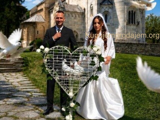 Beli golubovi za svecane prilike