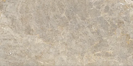 EVERSTONE EVERBROWN RETT 60×120