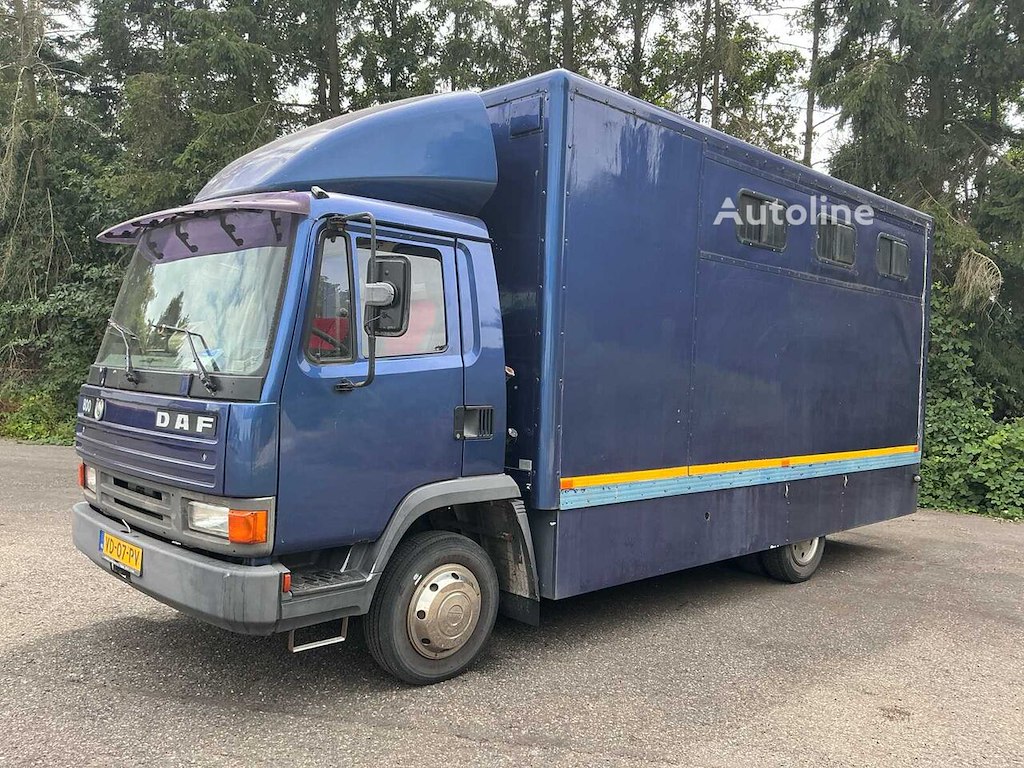 Prodaje se DAF AE08CN kamion za prevoz konja na aukciji