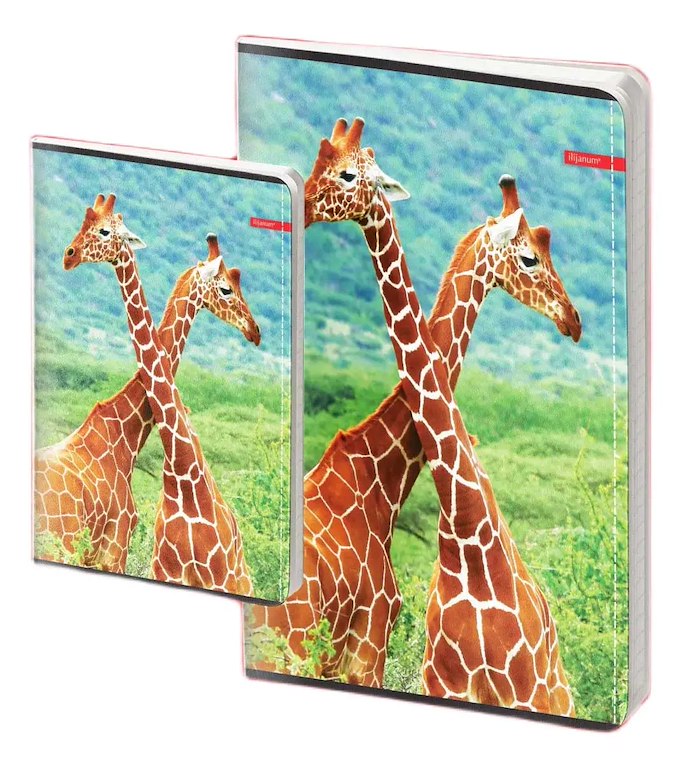 Sveska A4 WILD ANIMALS kvadratići 52L (Više vrsta)