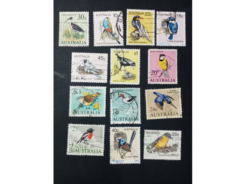 Australija Ptice lot