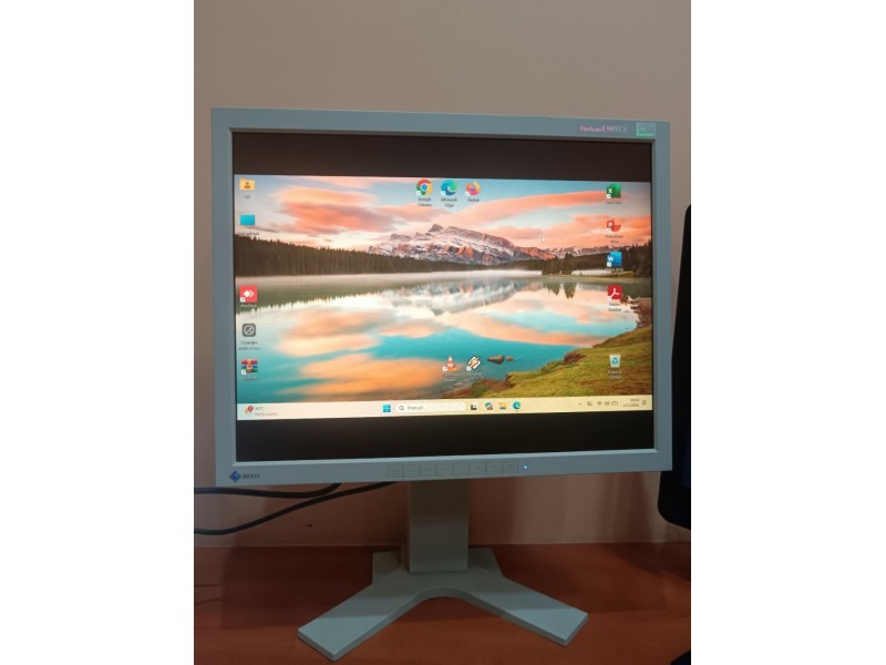Eizo FlexScan L985EX 1600x1200 B-kat