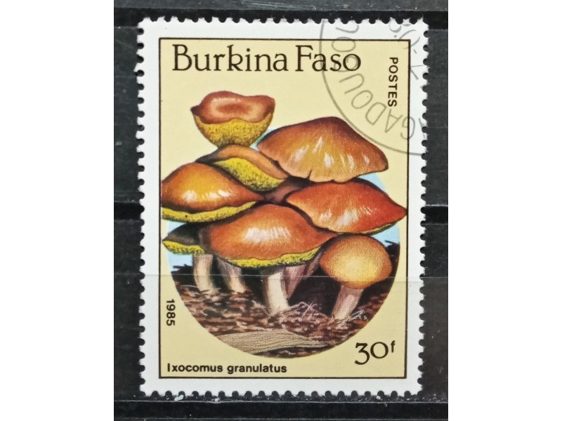 BURKINA FASO 1985 - PEĆURKE