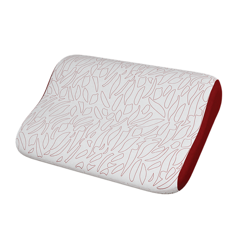 Zepter Ergoquano,Pillow Case