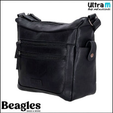 Beagles 21208