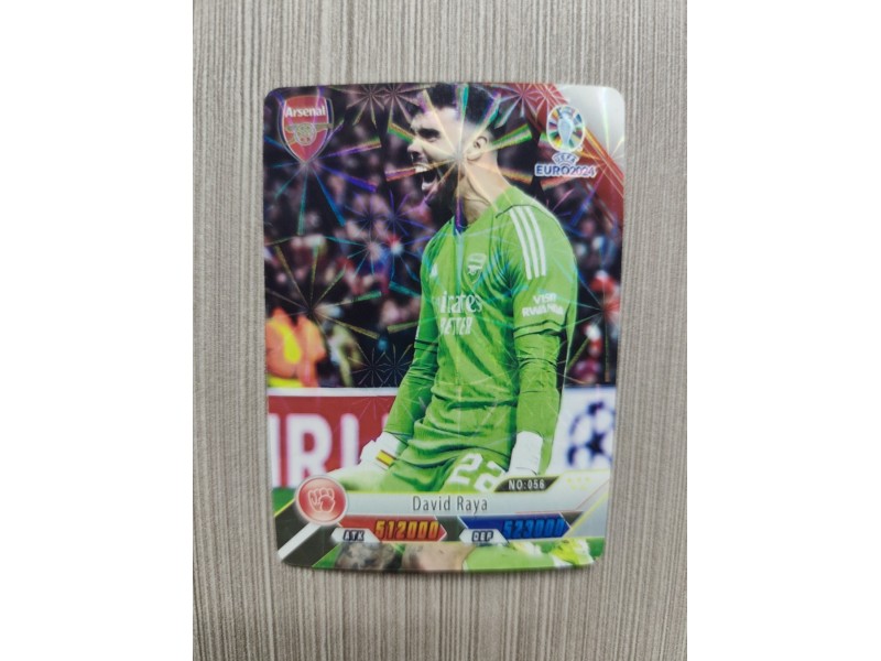Kartica David RAYA