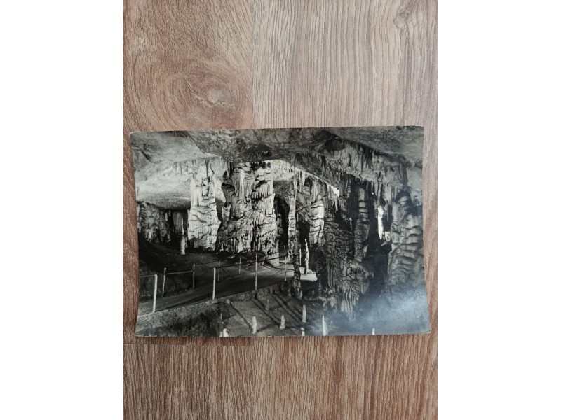 Razglednica crno-bela Postojnska jama