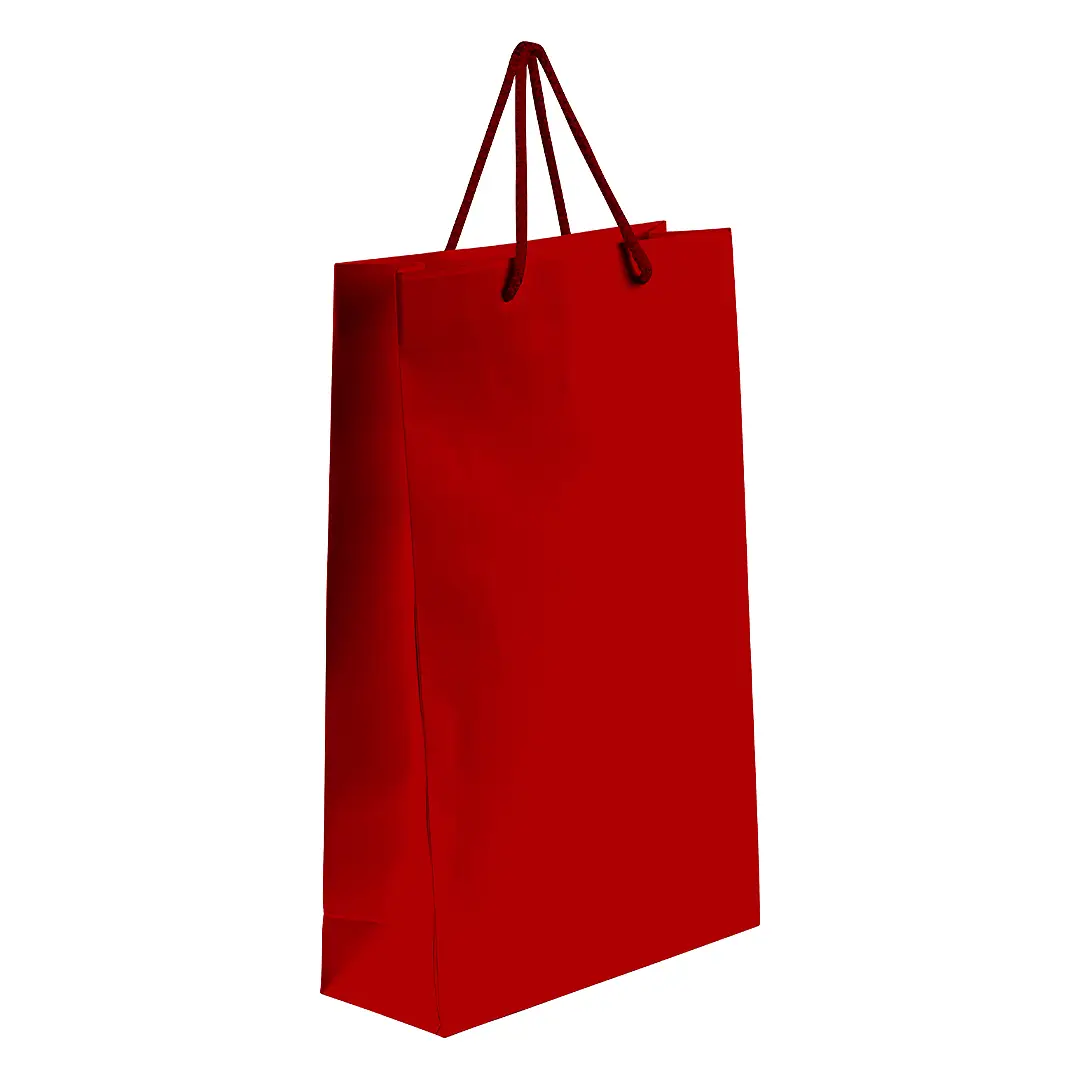 Papirna kesa, mat laminirana, 170 g/m2 DINA