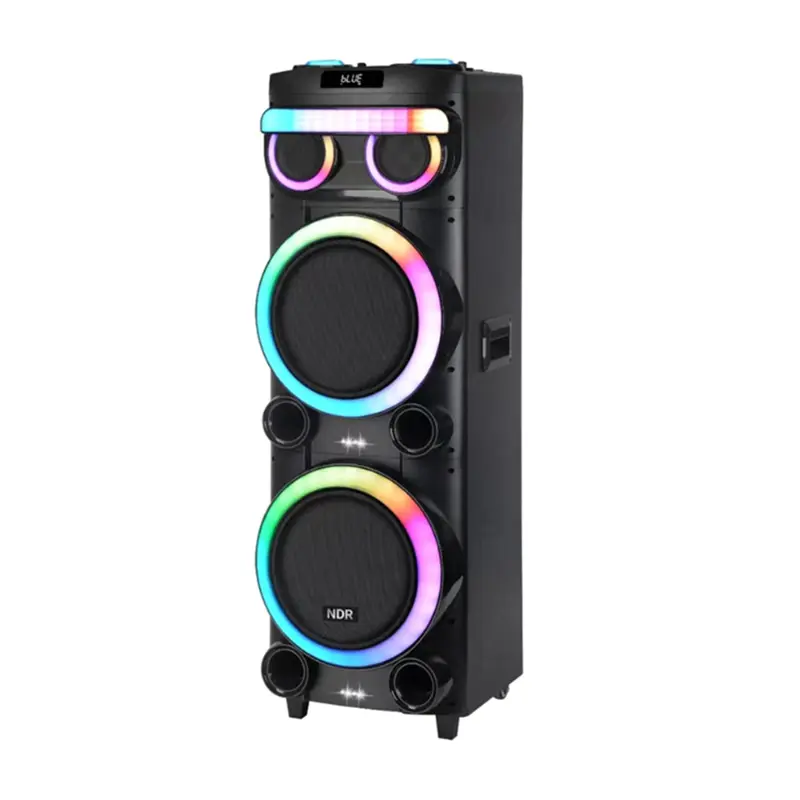 Bluetooth Zvučnik NDR-21280 100W + Dva Mikrofona