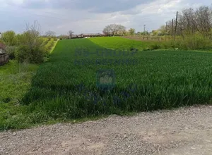 Prodaja Građevinsko zemljište - Irig, Krušedol Selo, Krusedol Prnjavor