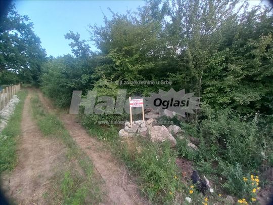 Prodajem plac 20a (gradjevinsko zemljiste)